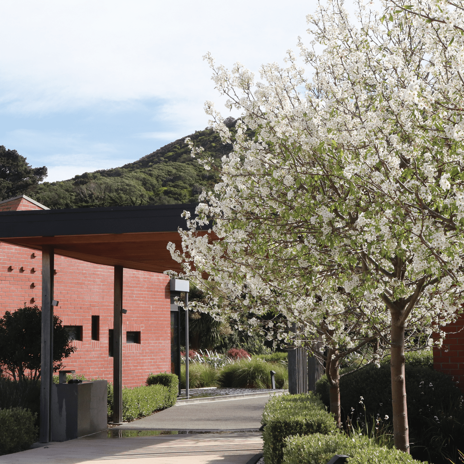 Home of Compassion Open Day: Stories of Plants and Gardens - compassion ...